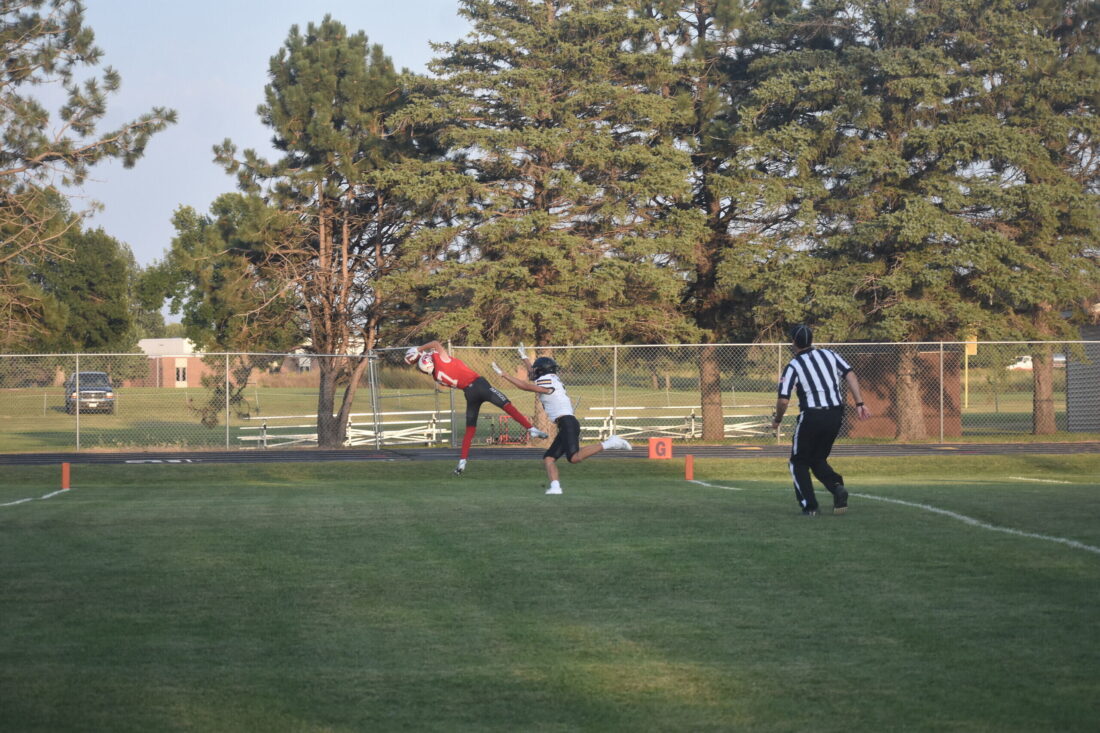 Opening up the game | News, Sports, Jobs - Marshall Independent